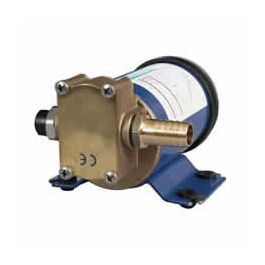 24V Oil Transfer Pump - 20-60 Litre/Hour